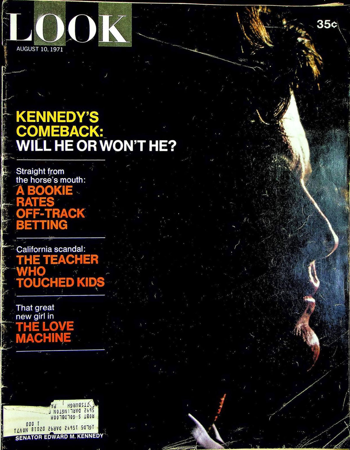 Look Magazine August 1971 Ted Kennedy Democratic Party Jodi Wexler Hol ...