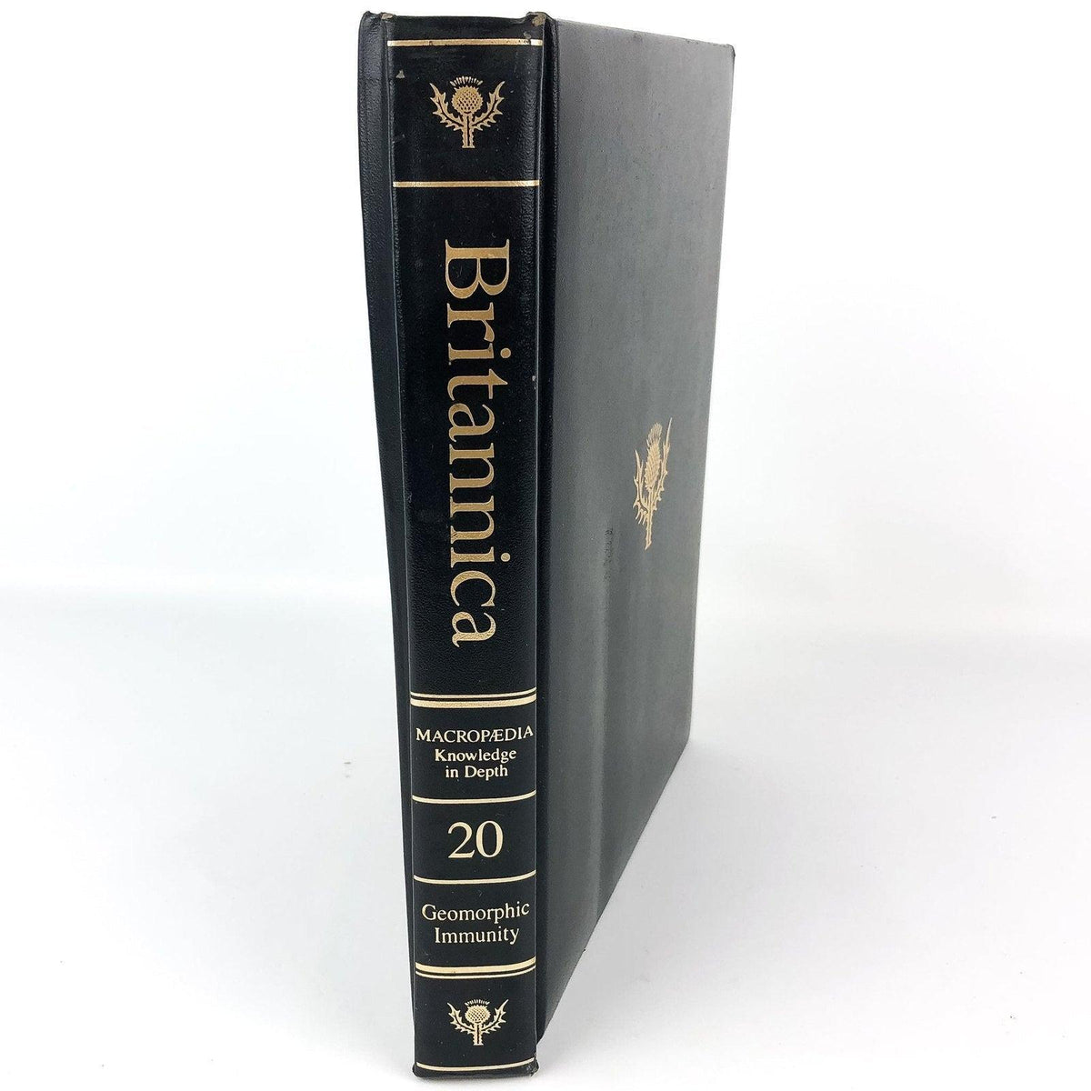 Britannica Macropaedia Knowledge in Depth Volume 20 Ed. 15 Geomorphic ...